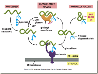 Biogenmol: Control de calidad y fibrosis quística
